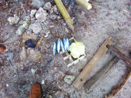 Ian Argus Stuart , the 64 years old millionaire | Docastaway