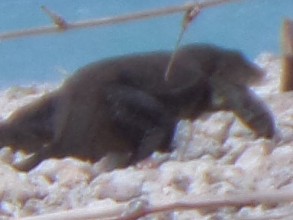 Ian Argus Stuart , the 64 years old millionaire | Docastaway